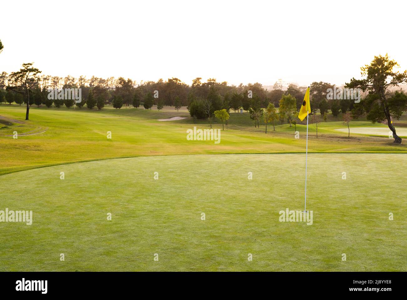 Golf flag hi-res stock photography and images - Alamy