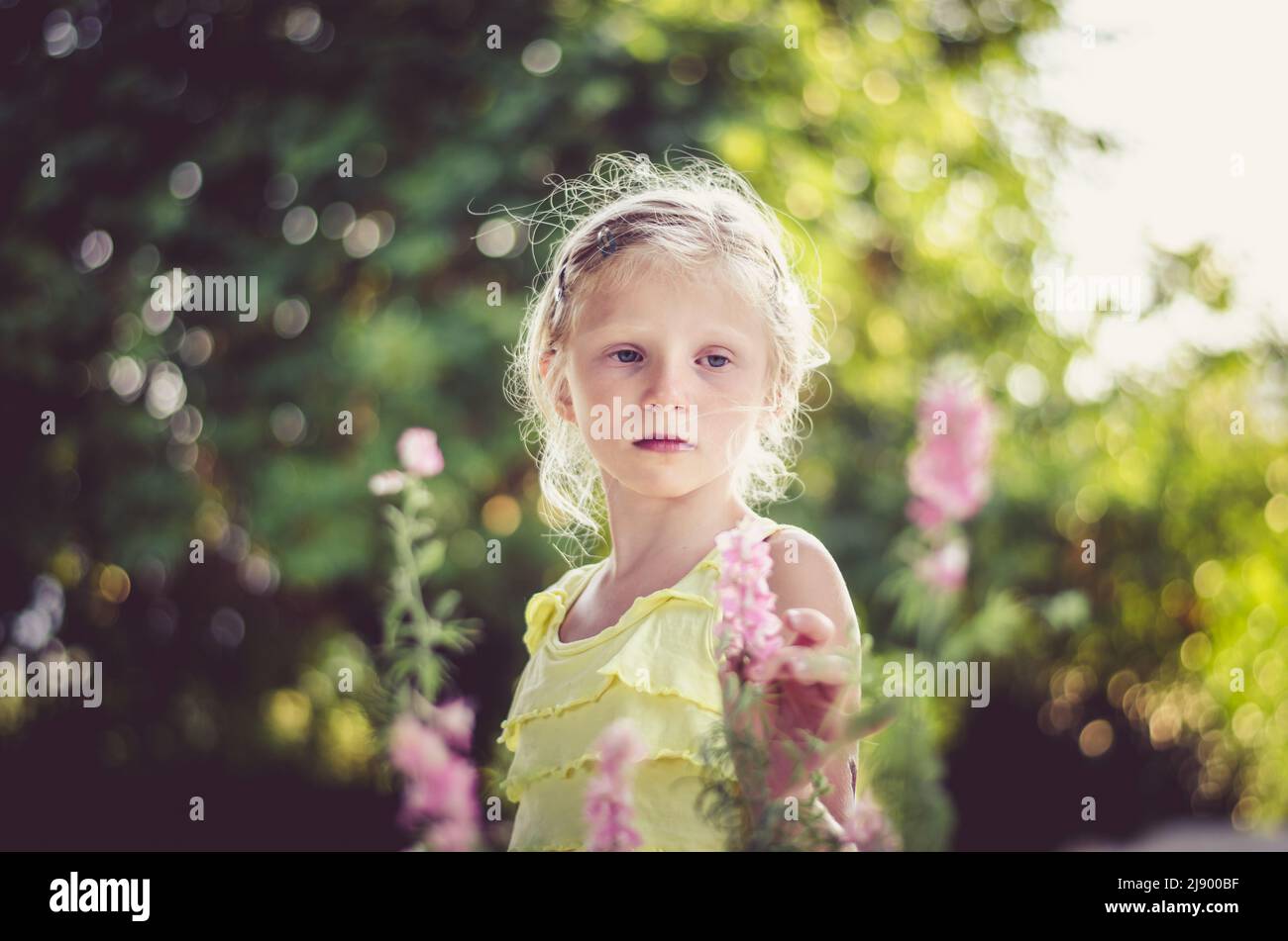 romantic child with pink flowers portrait Stock Photo - Alamy