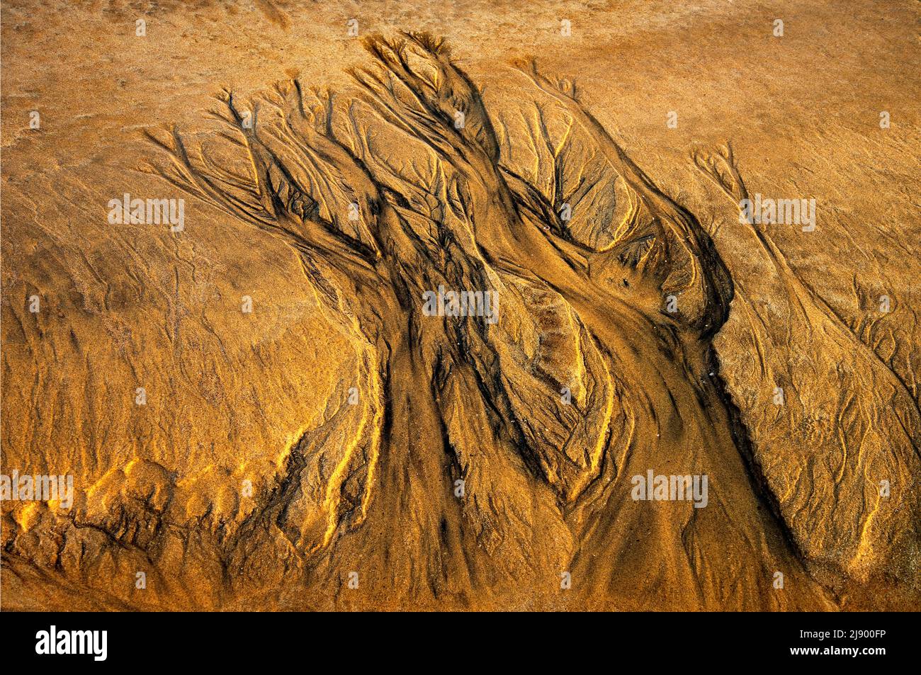 Sandscape hi-res stock photography and images - Alamy