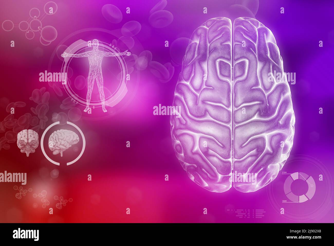 Human brain, brain surgery analyzing concept - detailed electronic ...