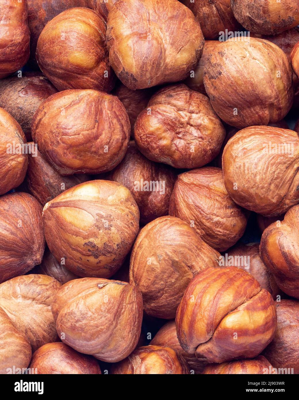 Close up photo of hazelnut Stock Photo - Alamy