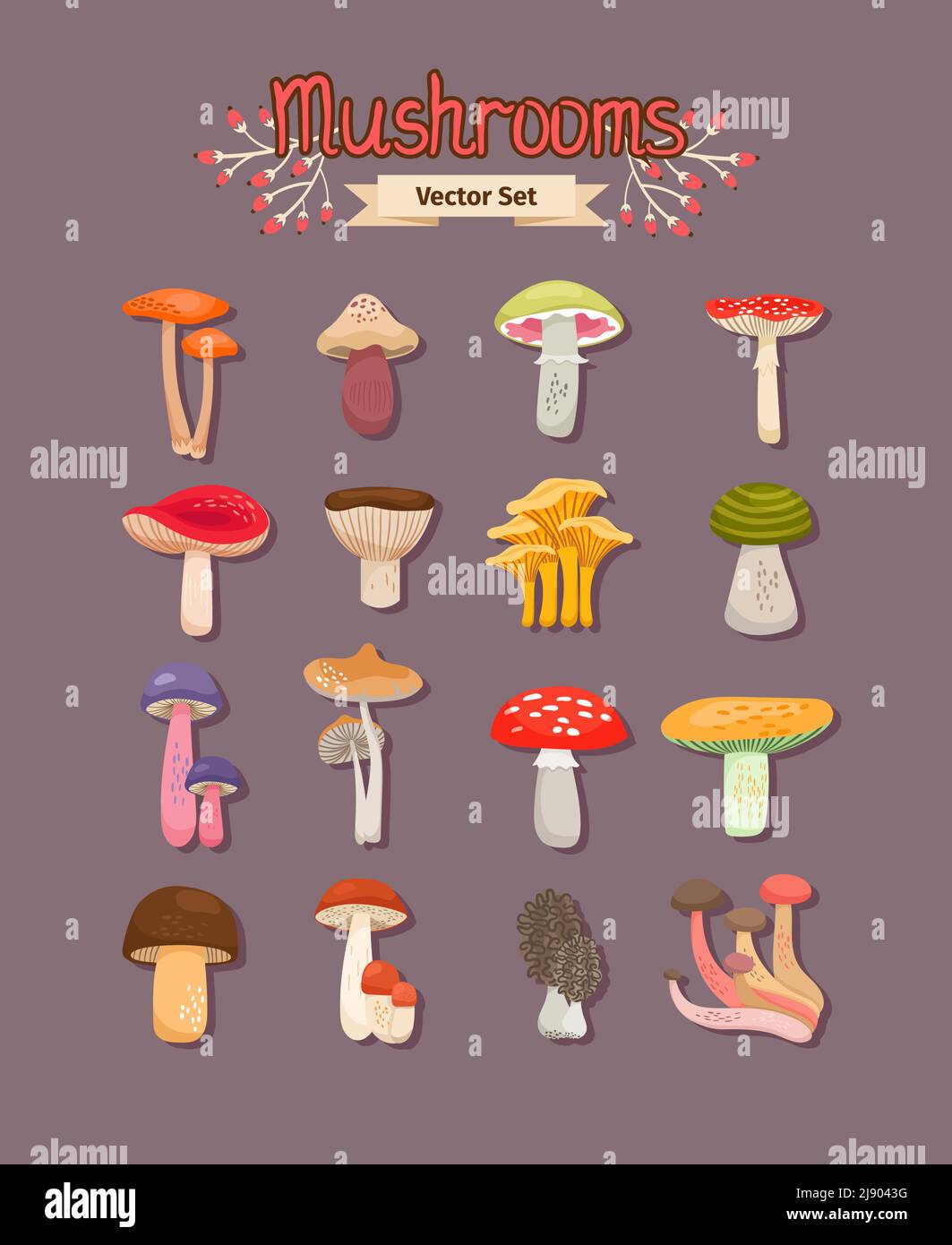 Set of painted different mushrooms edible and inedible. Vector ...