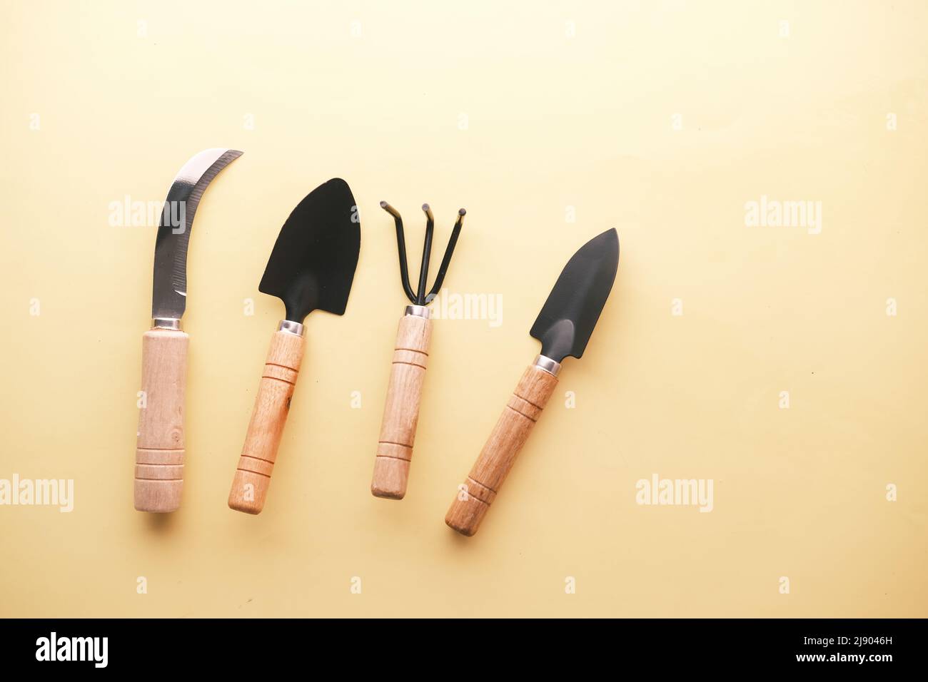 gardening tools and plant on a table with copy space Stock Photo - Alamy