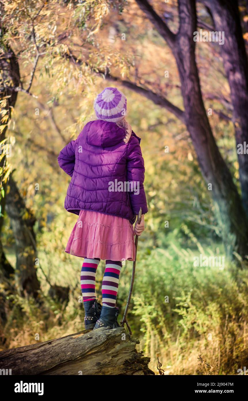 little child back view in scenic autumnal forest back view Stock Photo ...