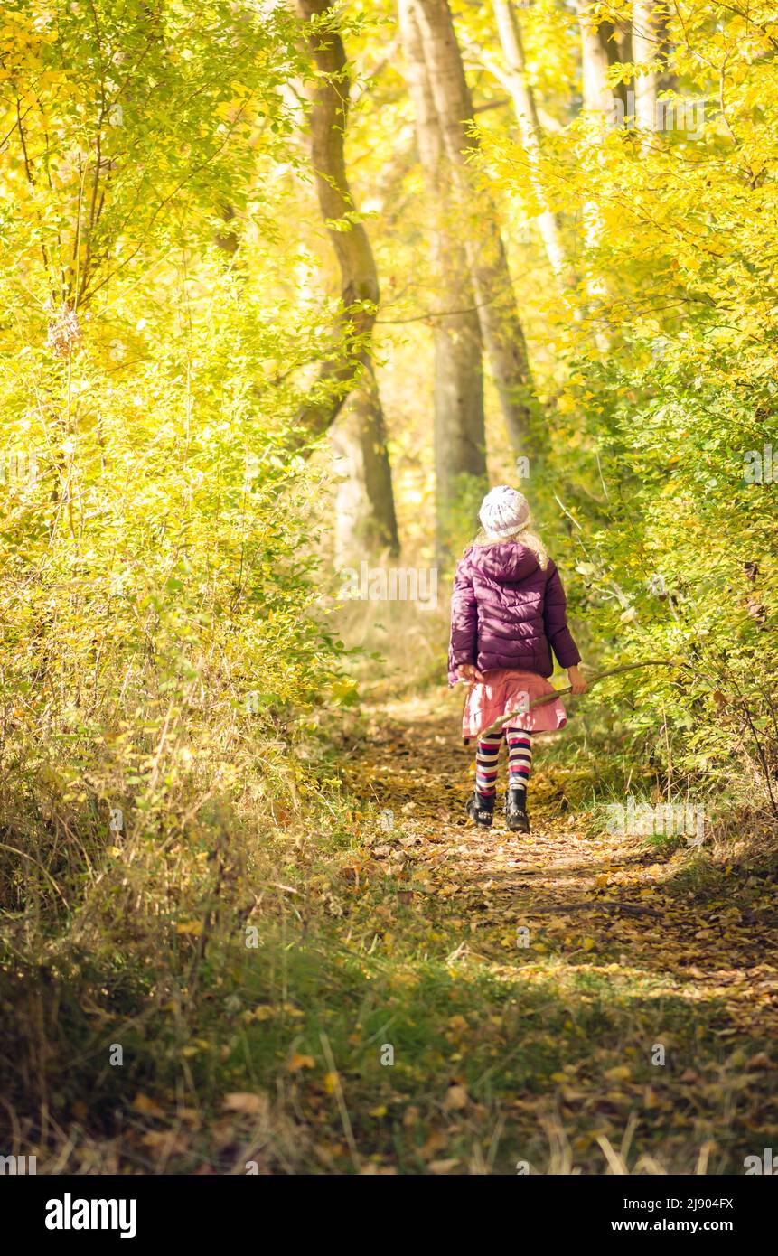 little child back view in scenic autumnal forest walking Stock Photo ...