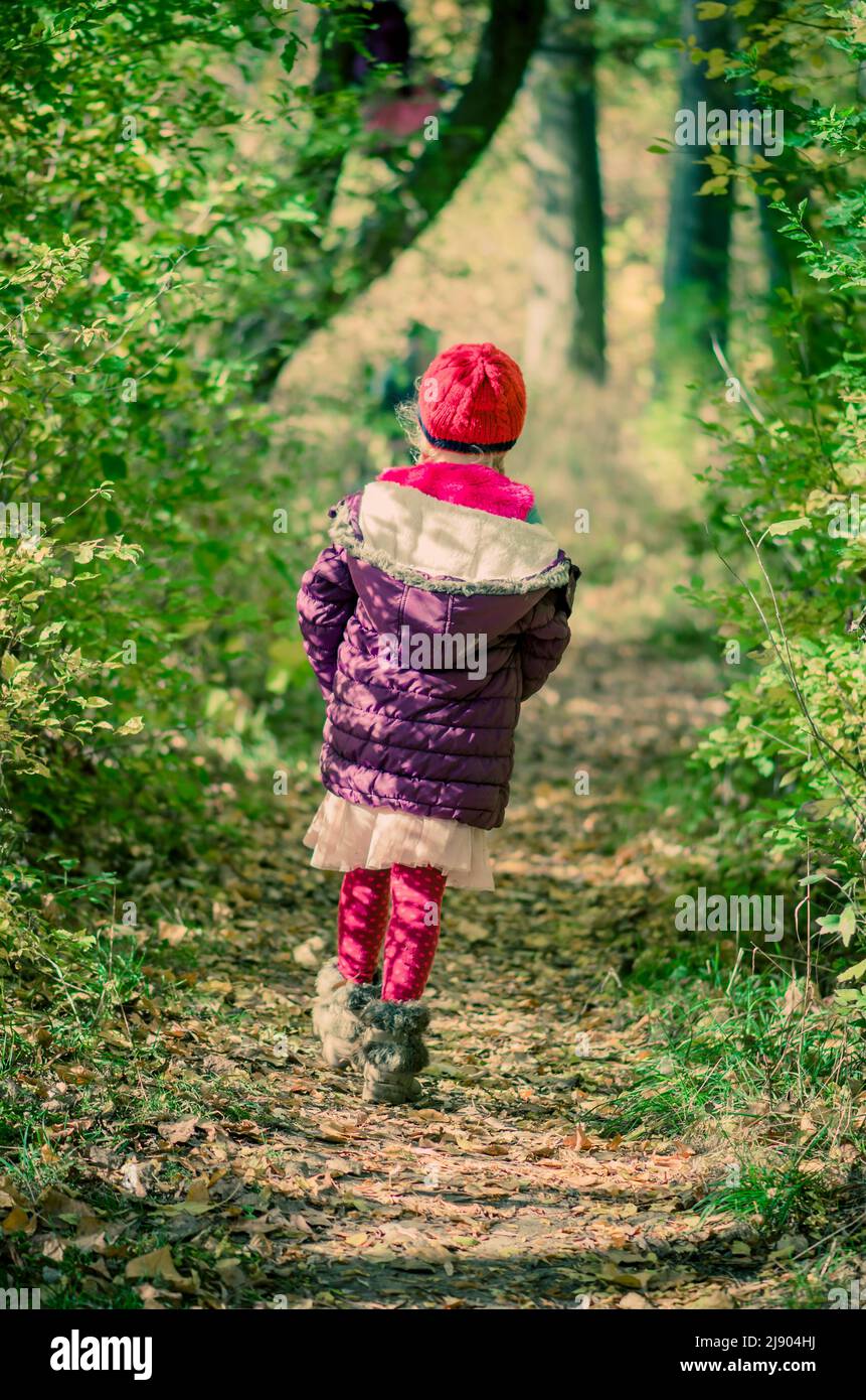 little child back view in scenic autumnal forest walking Stock Photo ...