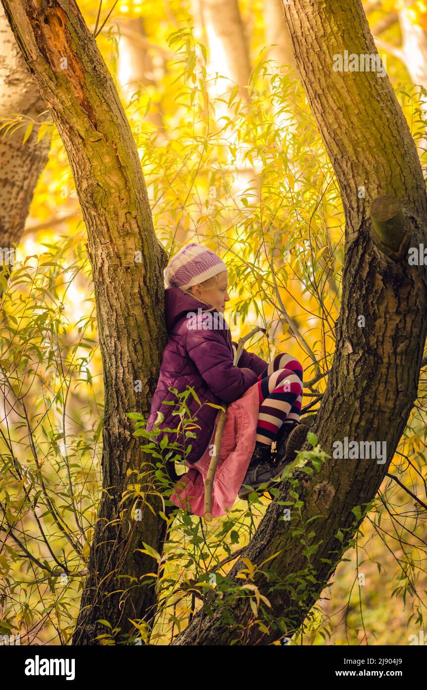Child climbing the tree hi-res stock photography and images - Alamy