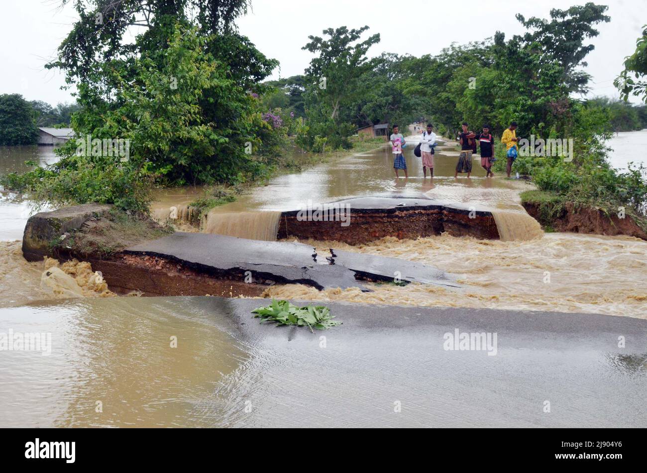 Kampur hi-res stock photography and images - Alamy