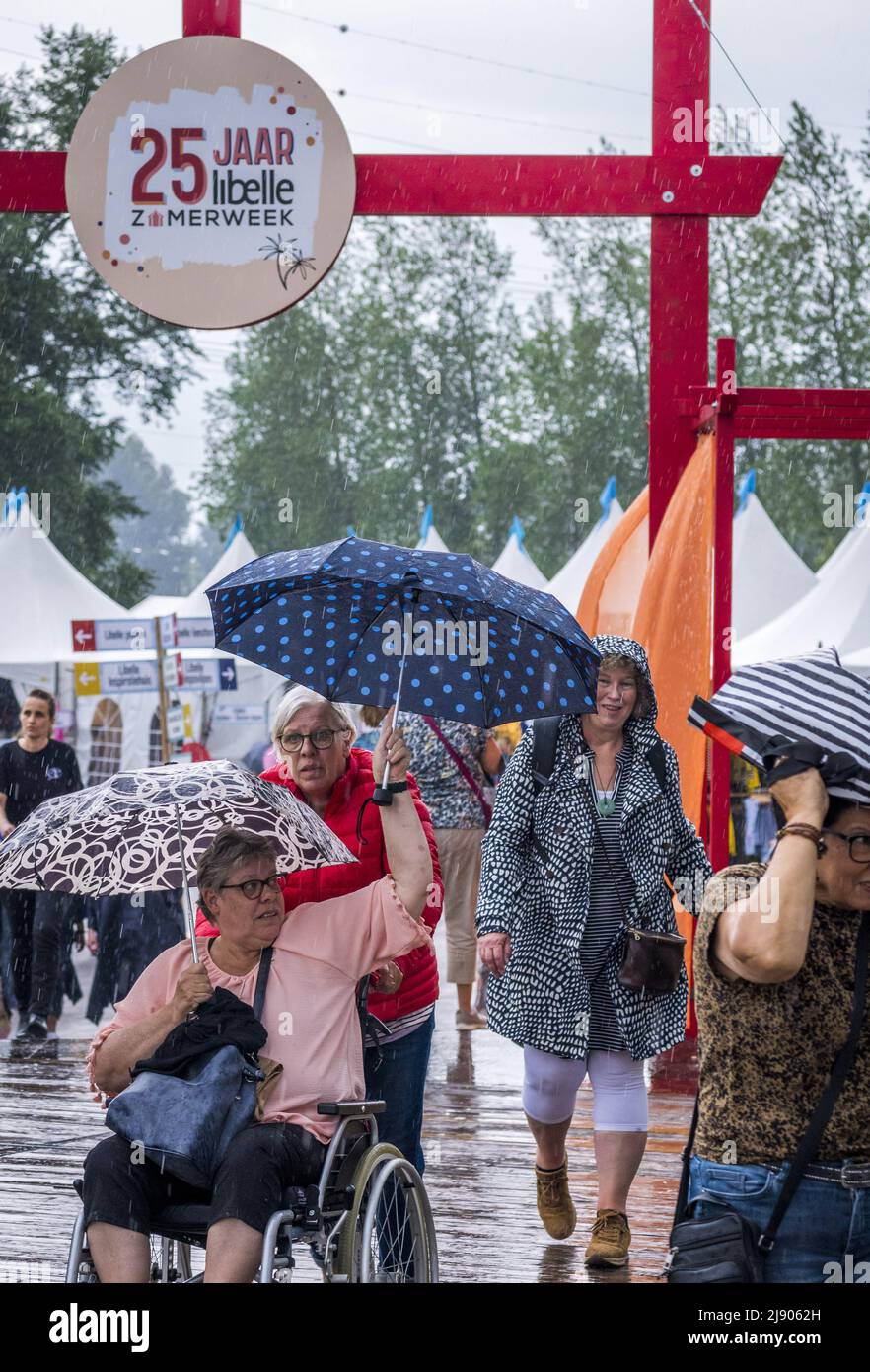 2022-05-19 12:45:37 VIJFHUIZEN - Visitors during the 25th edition of ...