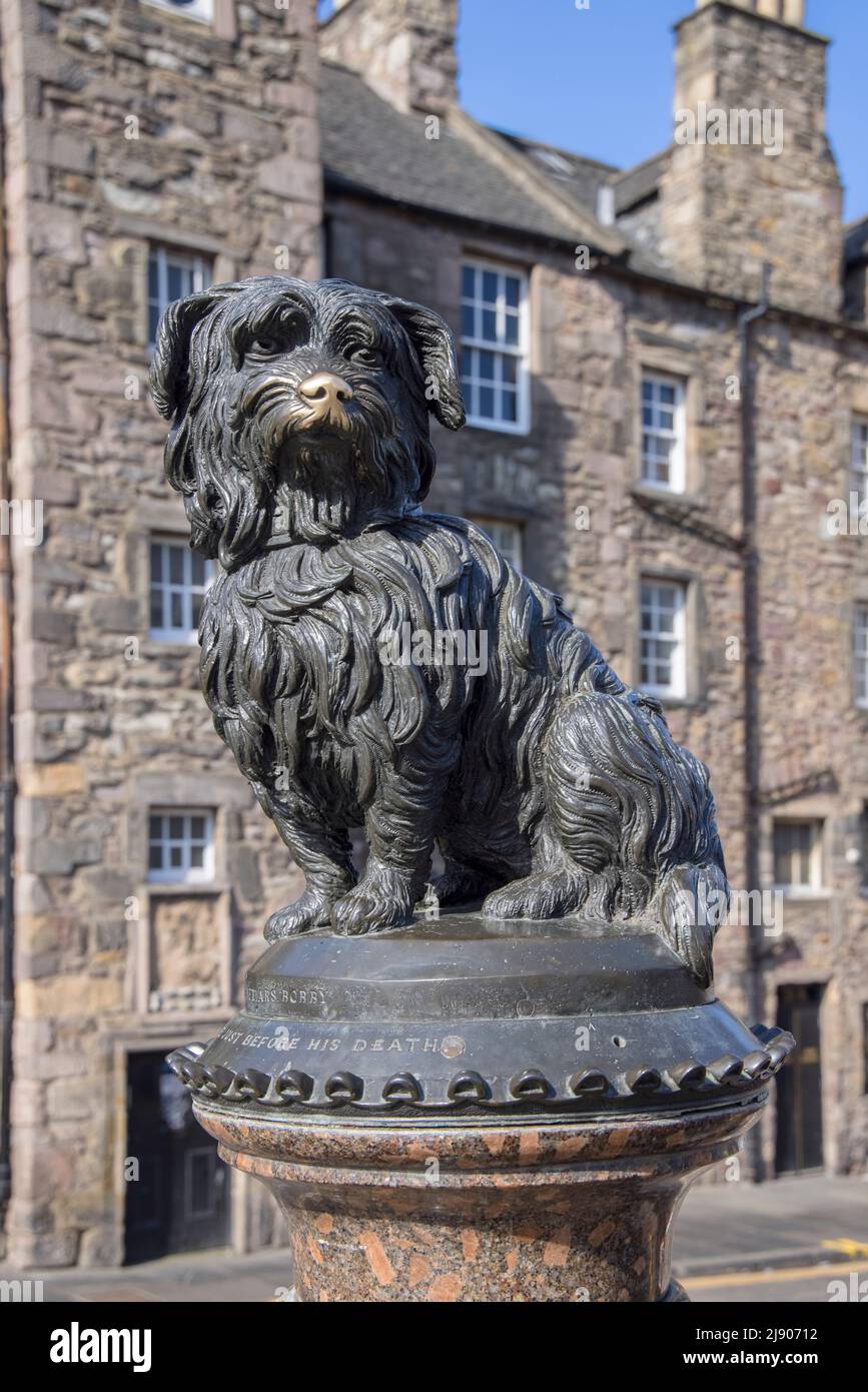 the statue of bobby outside greyfriars kirk edinburgh scotland where ...