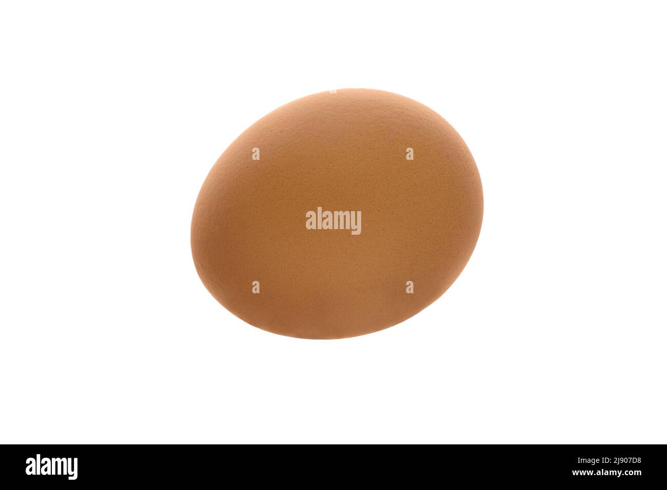 Image of a single chicken egg on a white background Stock Photo - Alamy