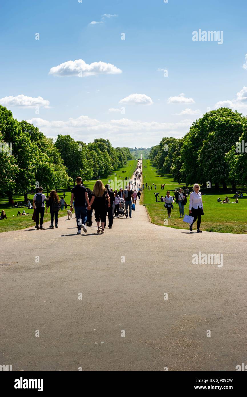 Windsor castle long walk queen hi-res stock photography and images - Alamy