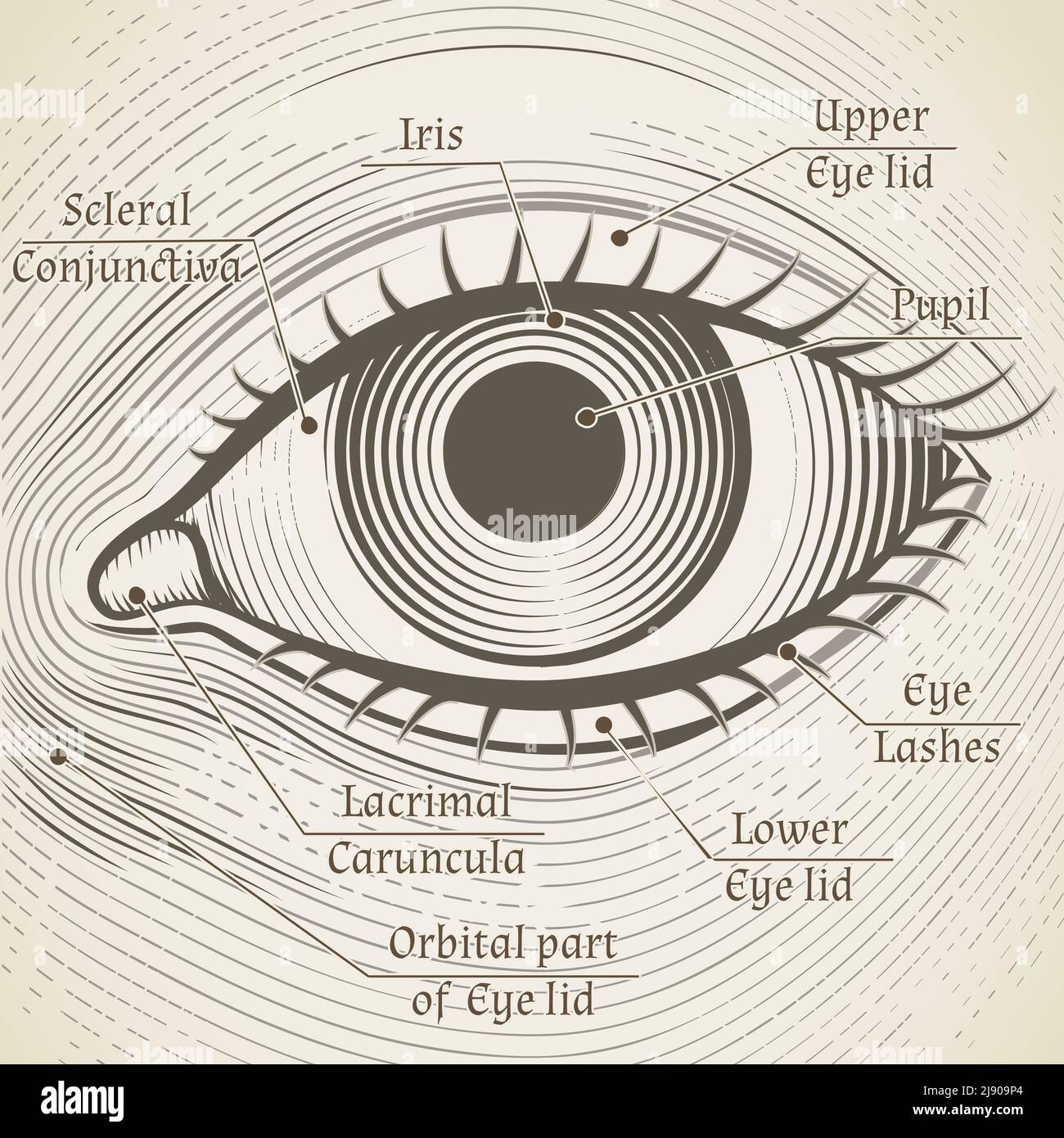 Orbital part vector vectors hi-res stock photography and images - Alamy