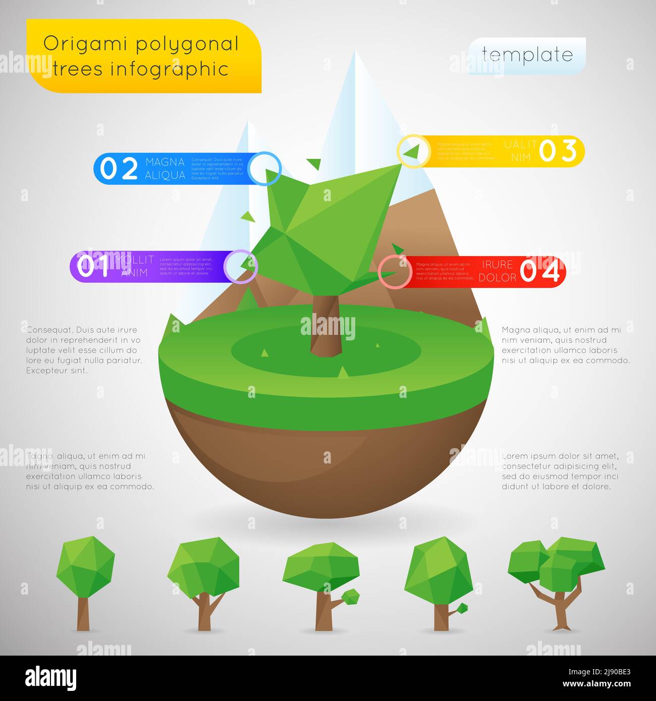 Origami polygonal trees infographic template. Polygon natural order ...