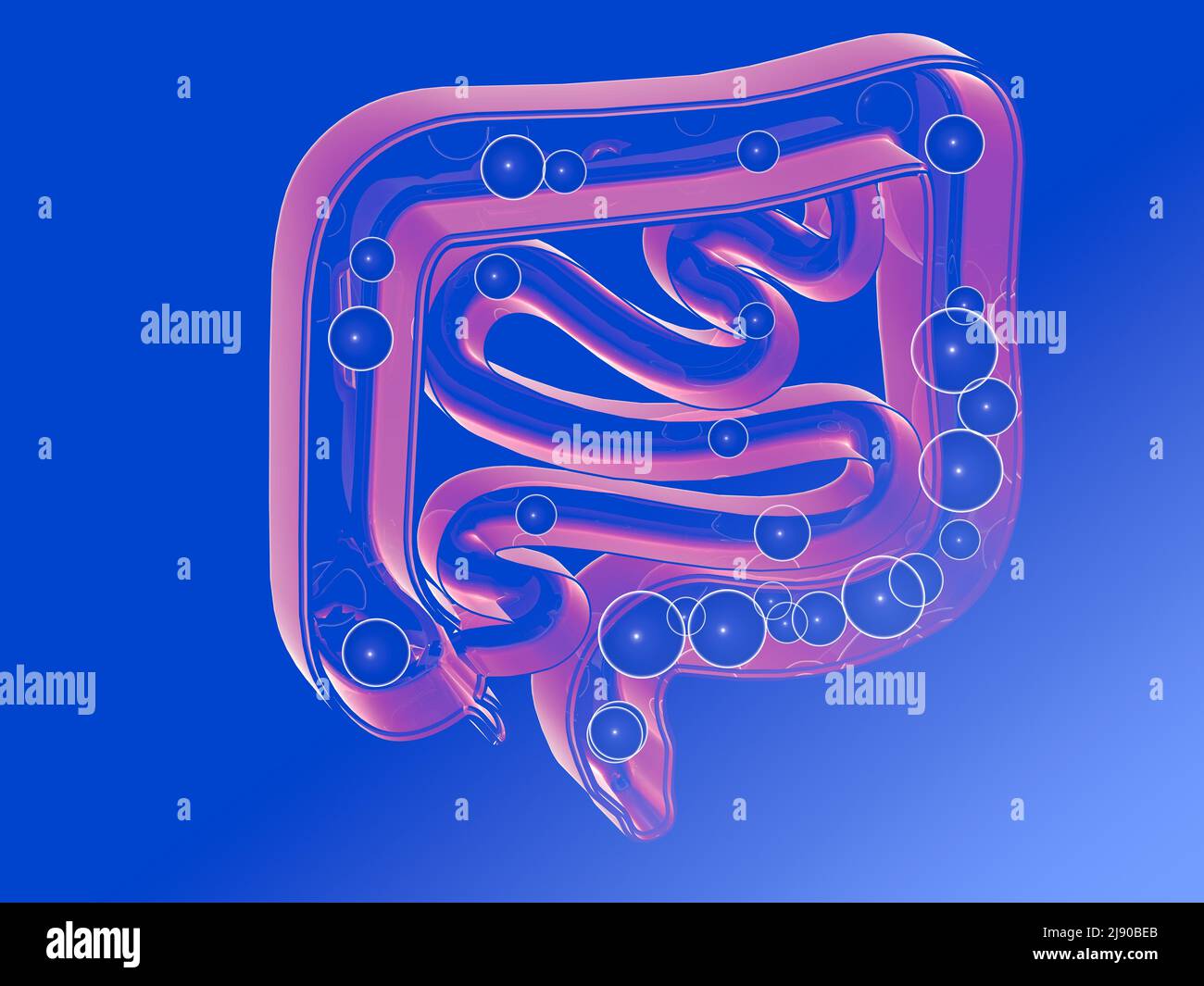Transparent 3d illustration of the large and small intestine with gases ...