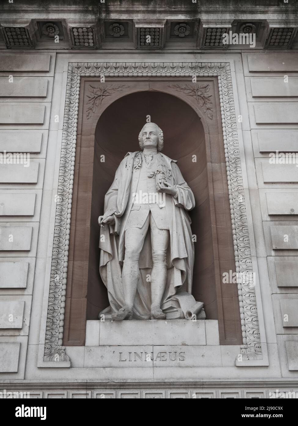 Statue of linnaeus hi-res stock photography and images - Alamy