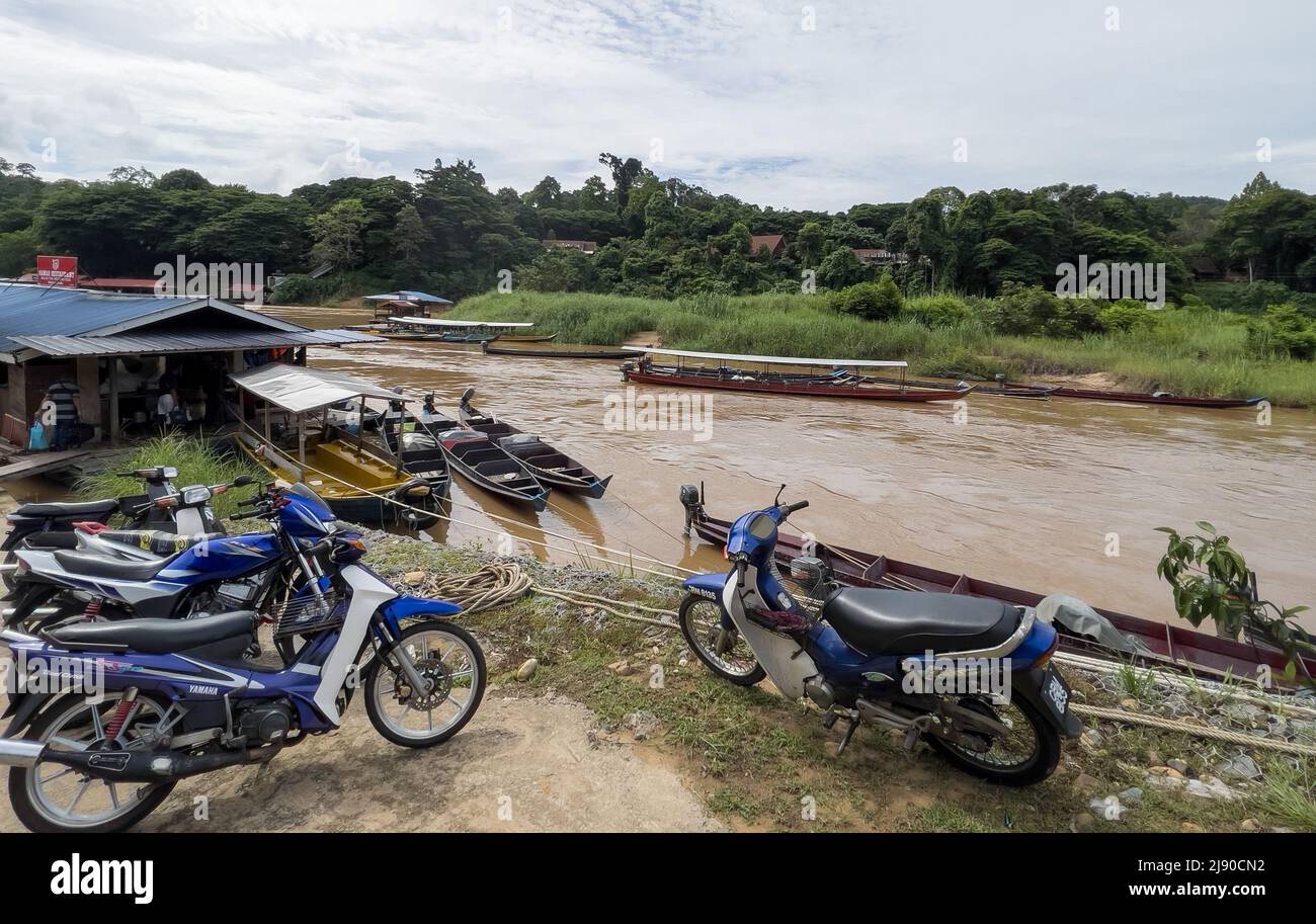 Tembeling forest hi-res stock photography and images - Alamy