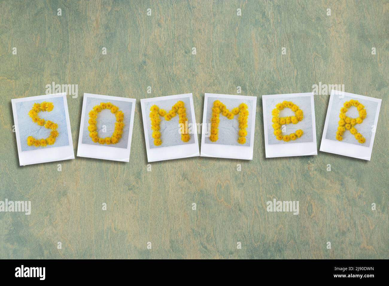 word sommer in German translation of summer is laid out from Polaroid ...