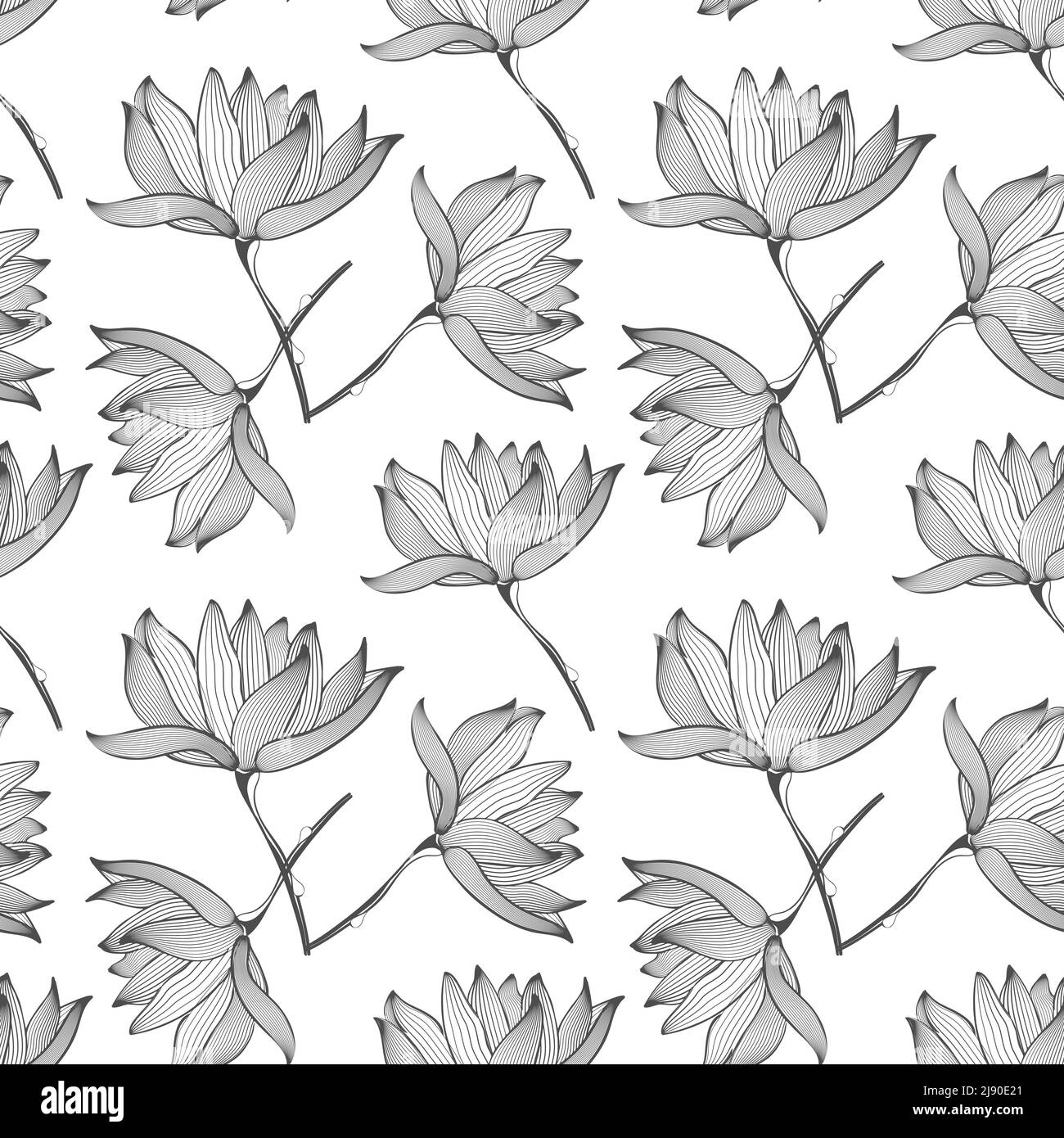 Stylized lotus flowers Stock Vector Images - Alamy