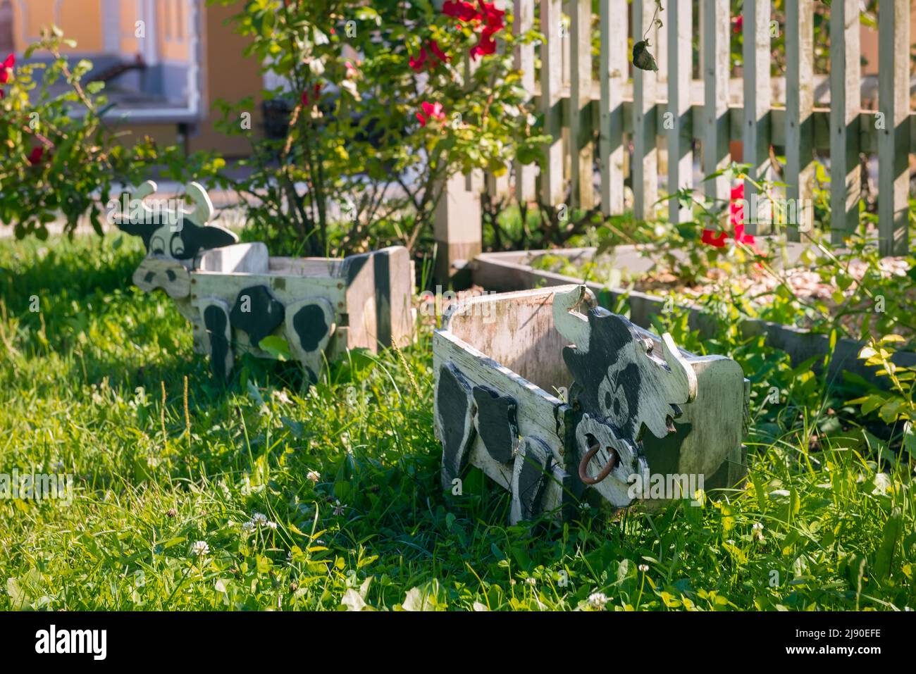 Decorative flower vases in the shape of a cow in the garden on a summer ...