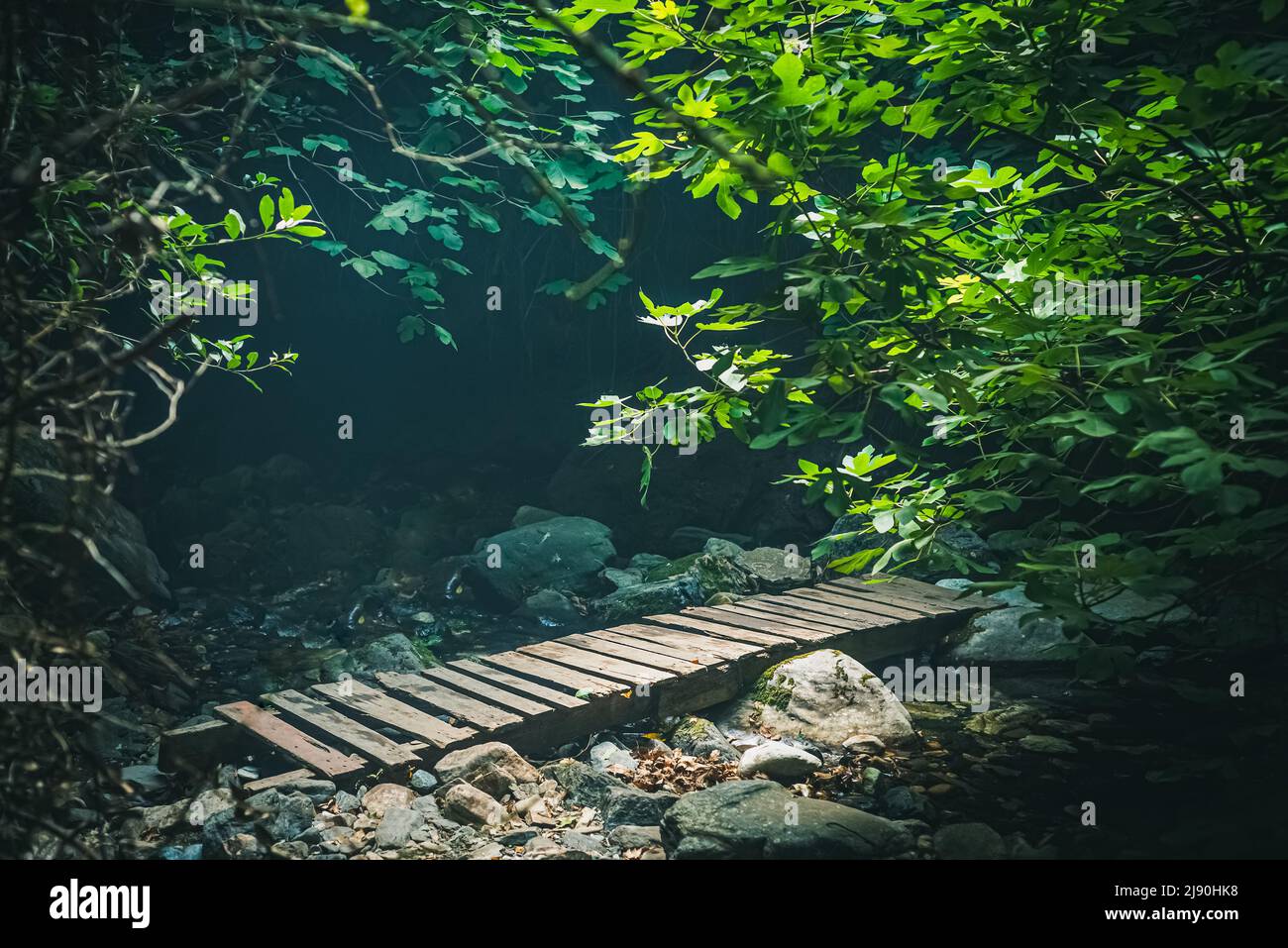 Wooden bridge view in Ida Mountain (KazDagi) National Park. Atmospheric ...