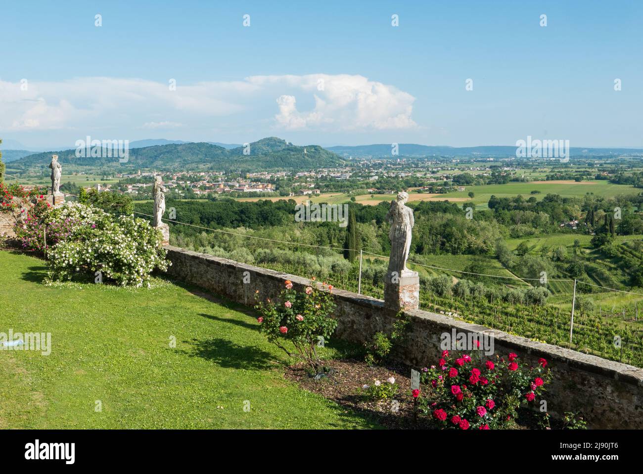 Italian rose garden hi-res stock photography and images - Alamy