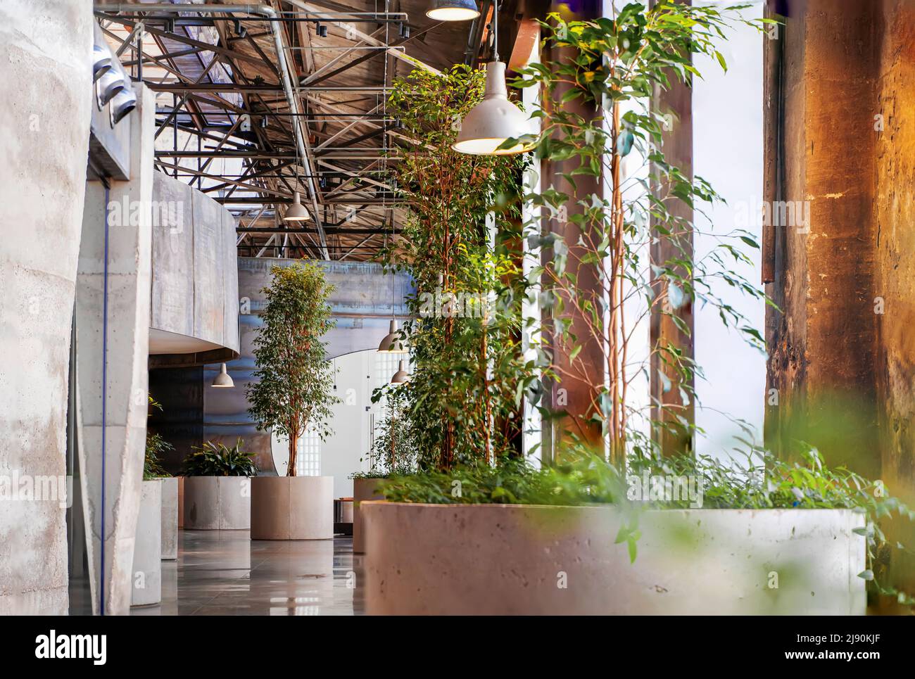 Plant green lobby hi-res stock photography and images - Alamy