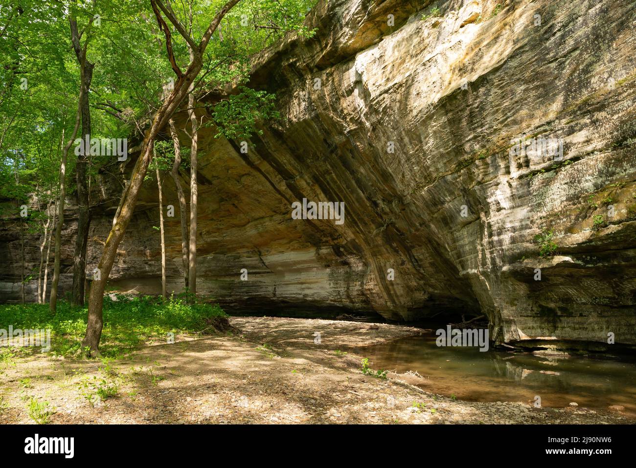 Sandstone canyon walls in Illinois Canyon on a sunny Spring afternoon ...