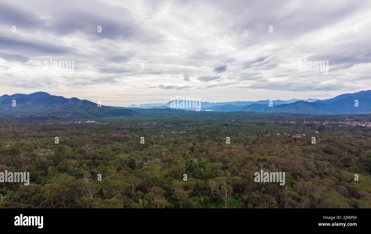 Aerial view of tropical forest, Aceh, Indonesia Stock Photo - Alamy