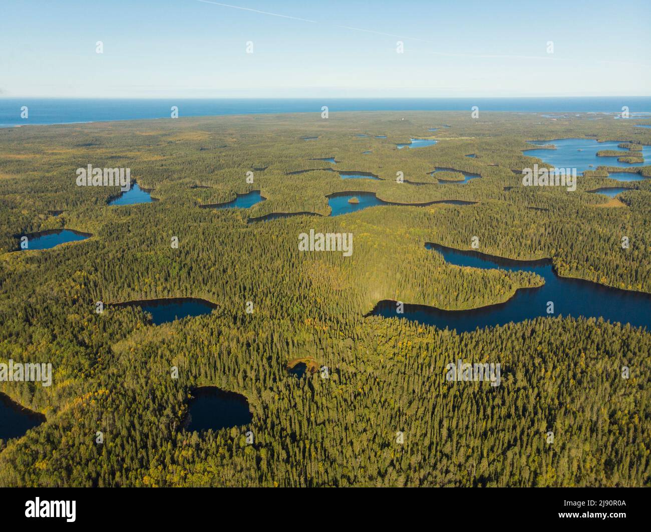 Lakes and green forest. Lake country. Solovetsky Islands, Russia ...