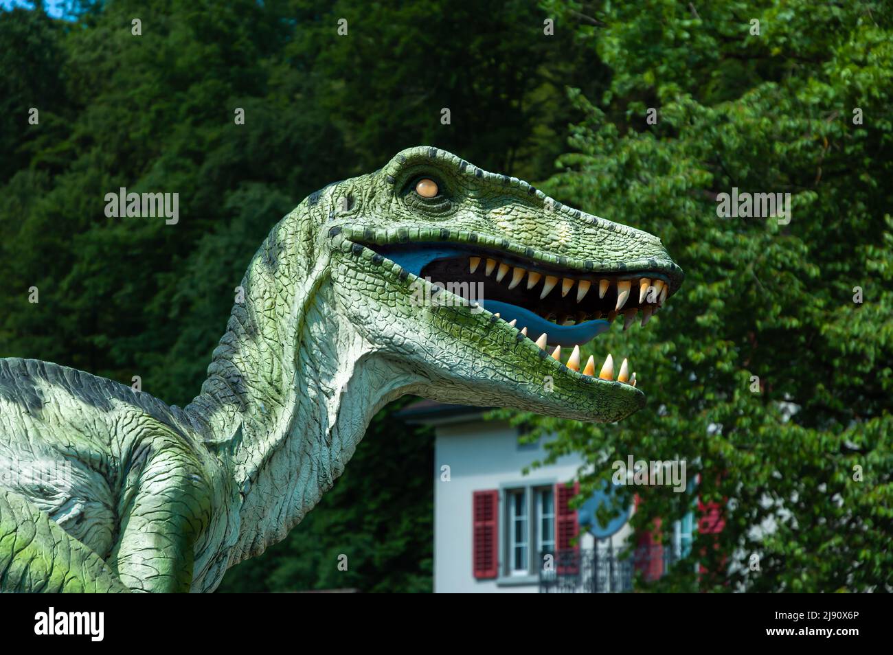 Sauriermuseum hi-res stock photography and images - Alamy