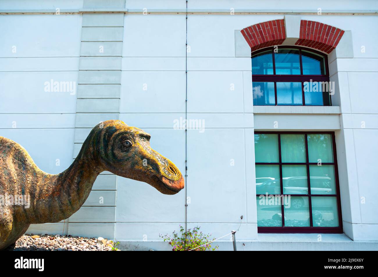 Sauriermuseum hi-res stock photography and images - Alamy