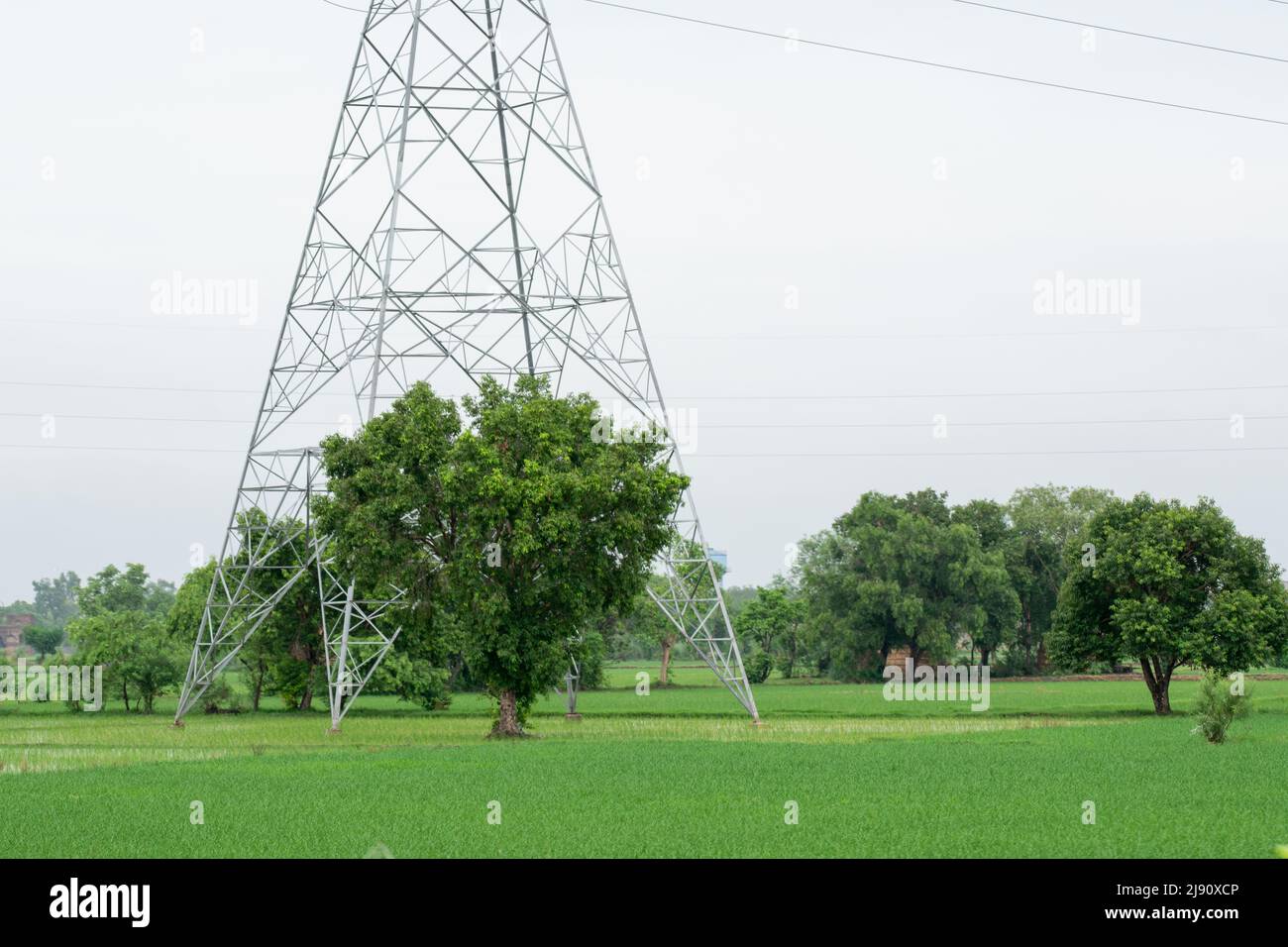 Paddy field scenery hi-res stock photography and images - Alamy