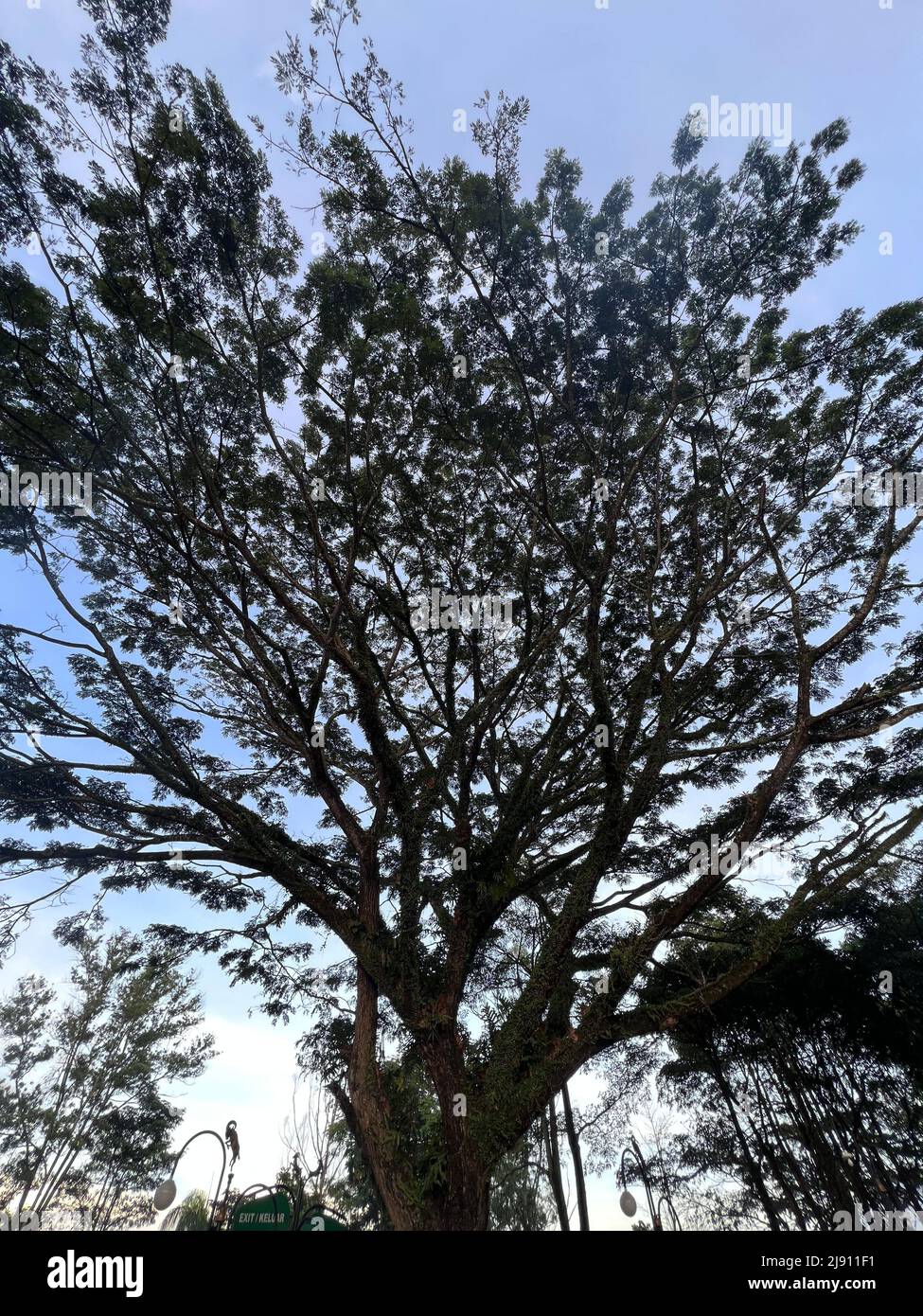 view of Situ Bagendit is a famous tourist spot in Garut with mountain ...