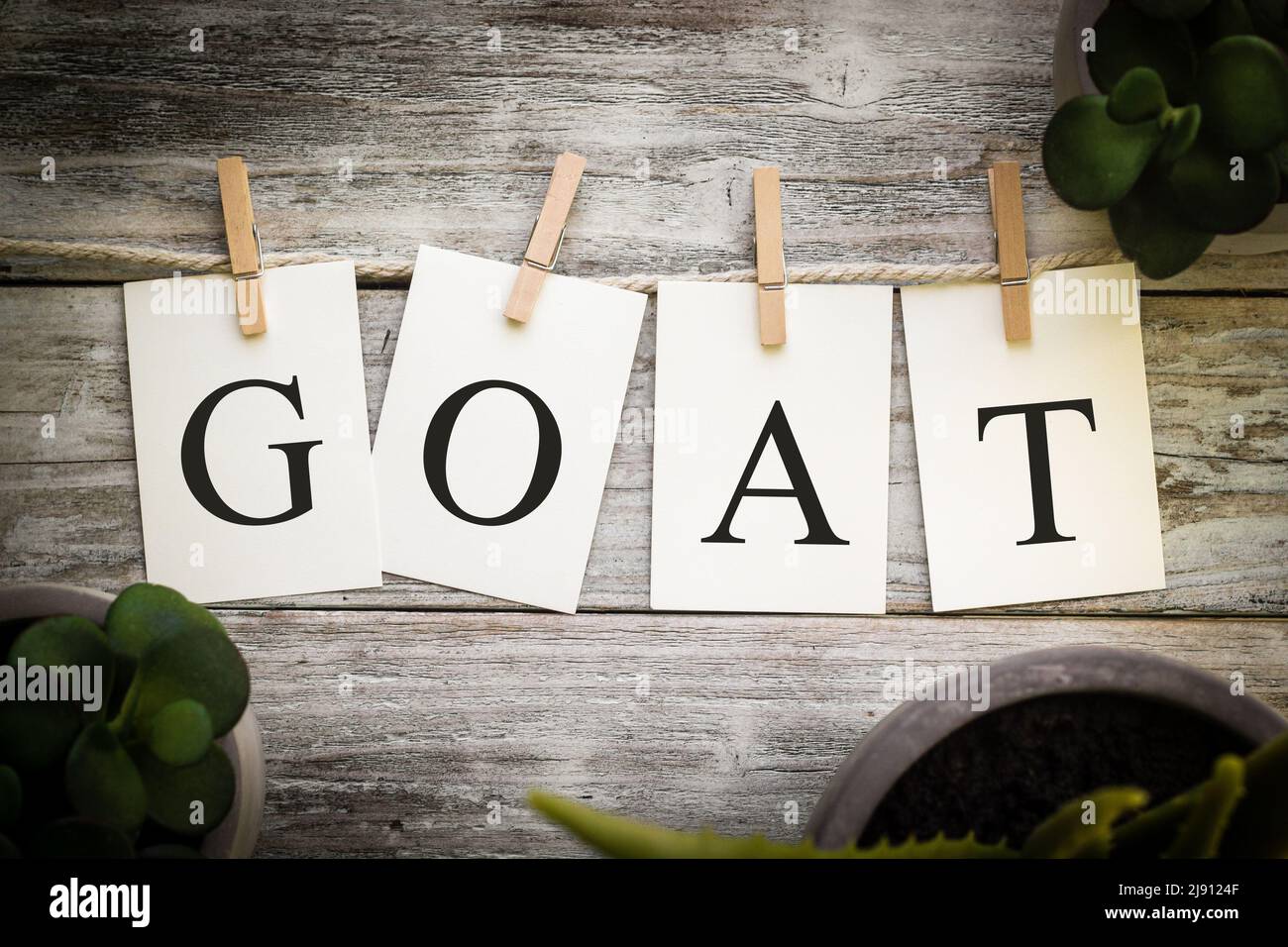 A set of printed cards spelling the word GOAT on an aged wooden ...