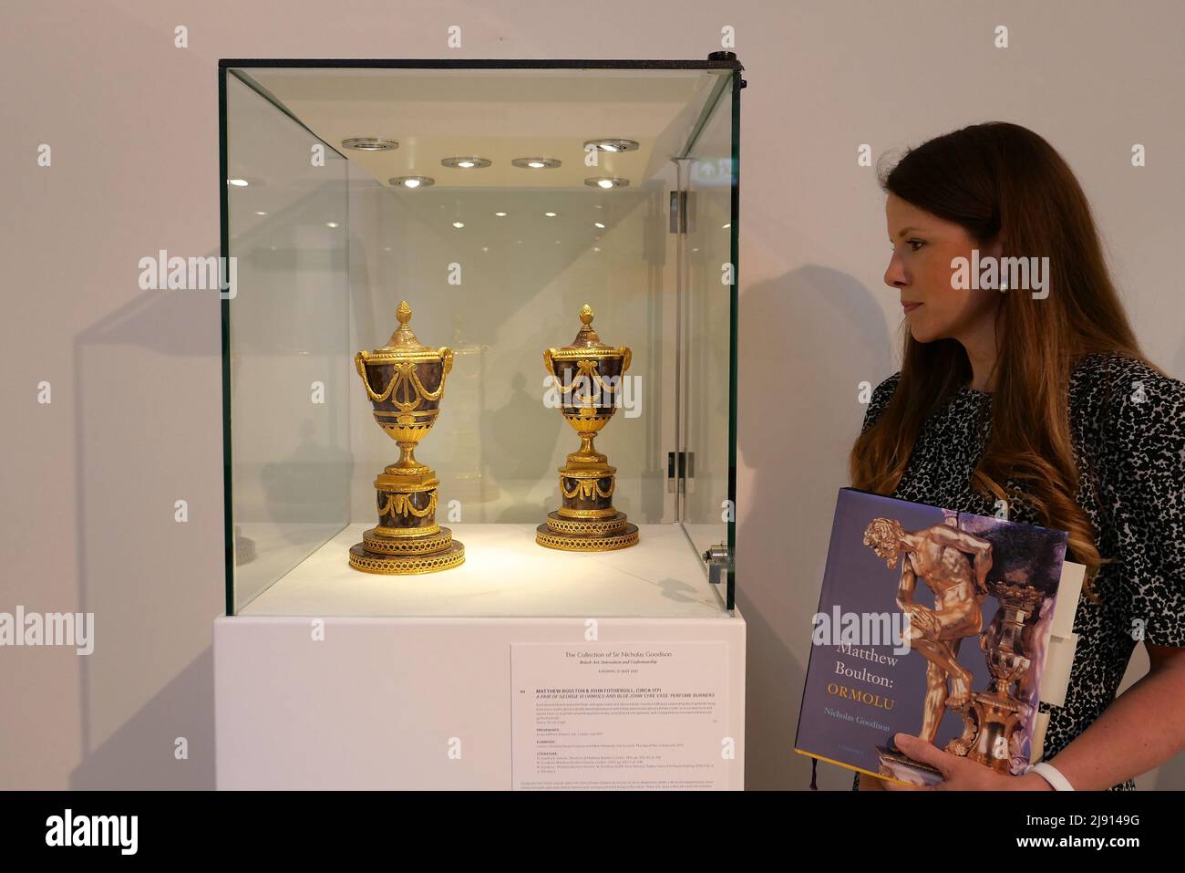 The Collection of Sir Nicholas Goodison -British Art Innovation and ...