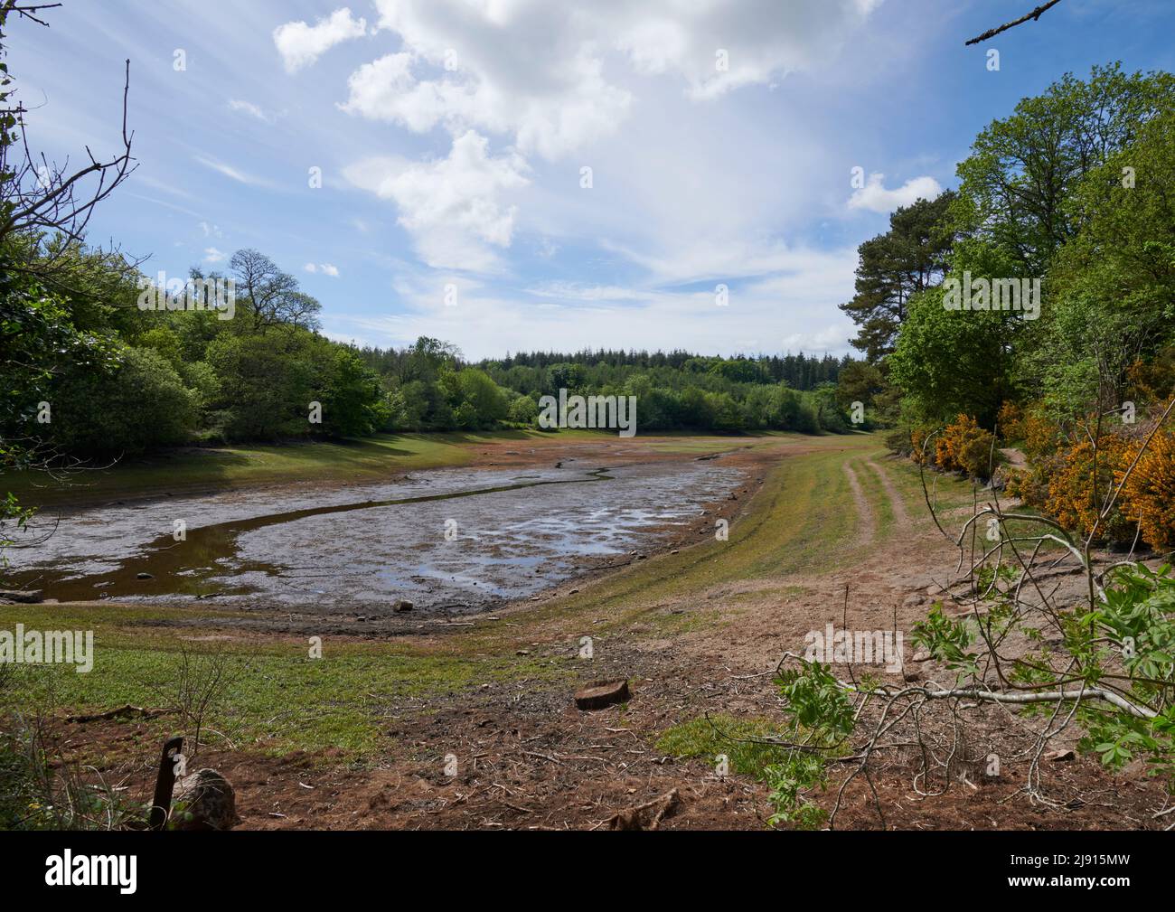 Tottiford reservoirs hi-res stock photography and images - Alamy
