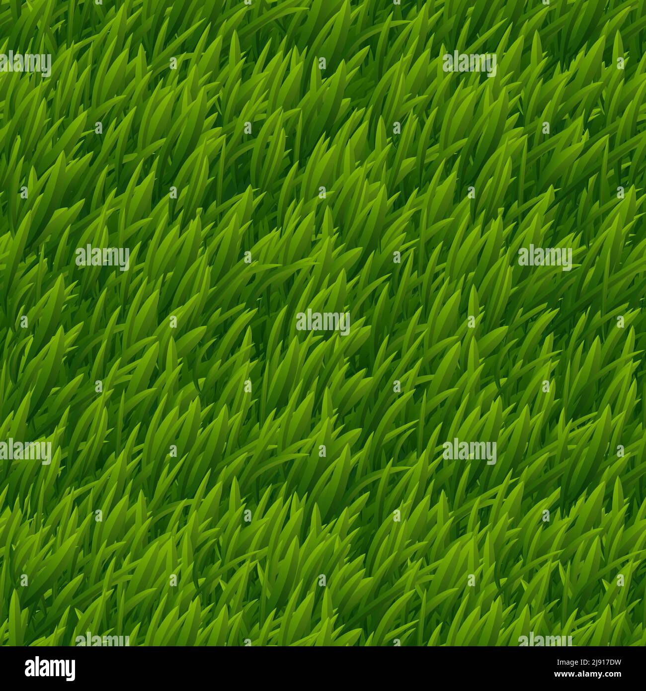 Green grass vector seamless texture. Lawn nature, meadow plant, field ...