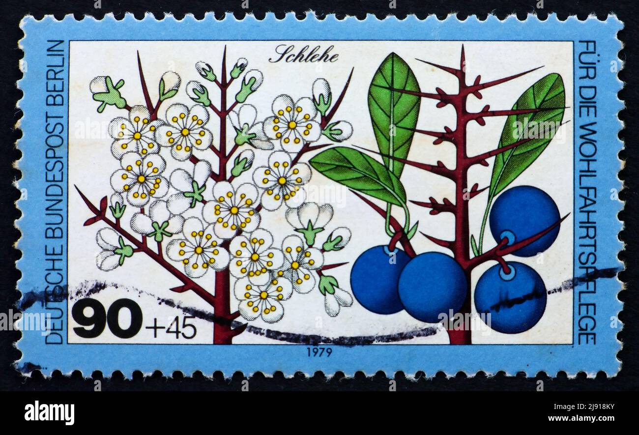 GERMANY - CIRCA 1979: a stamp printed in the Germany shows Blackthorn ...