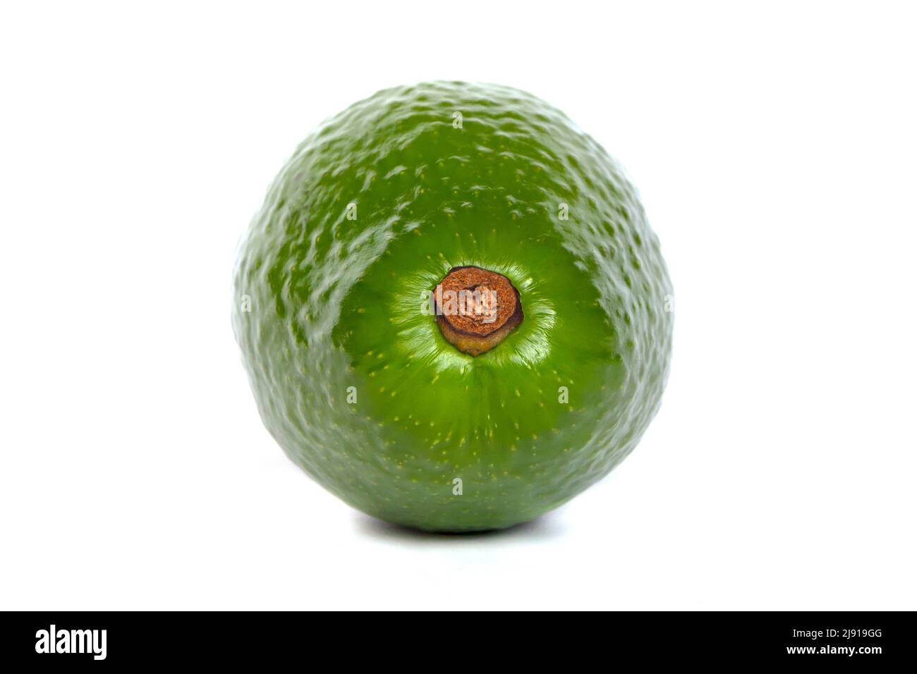Fresh green Avocado isolated on a white background Stock Photo - Alamy