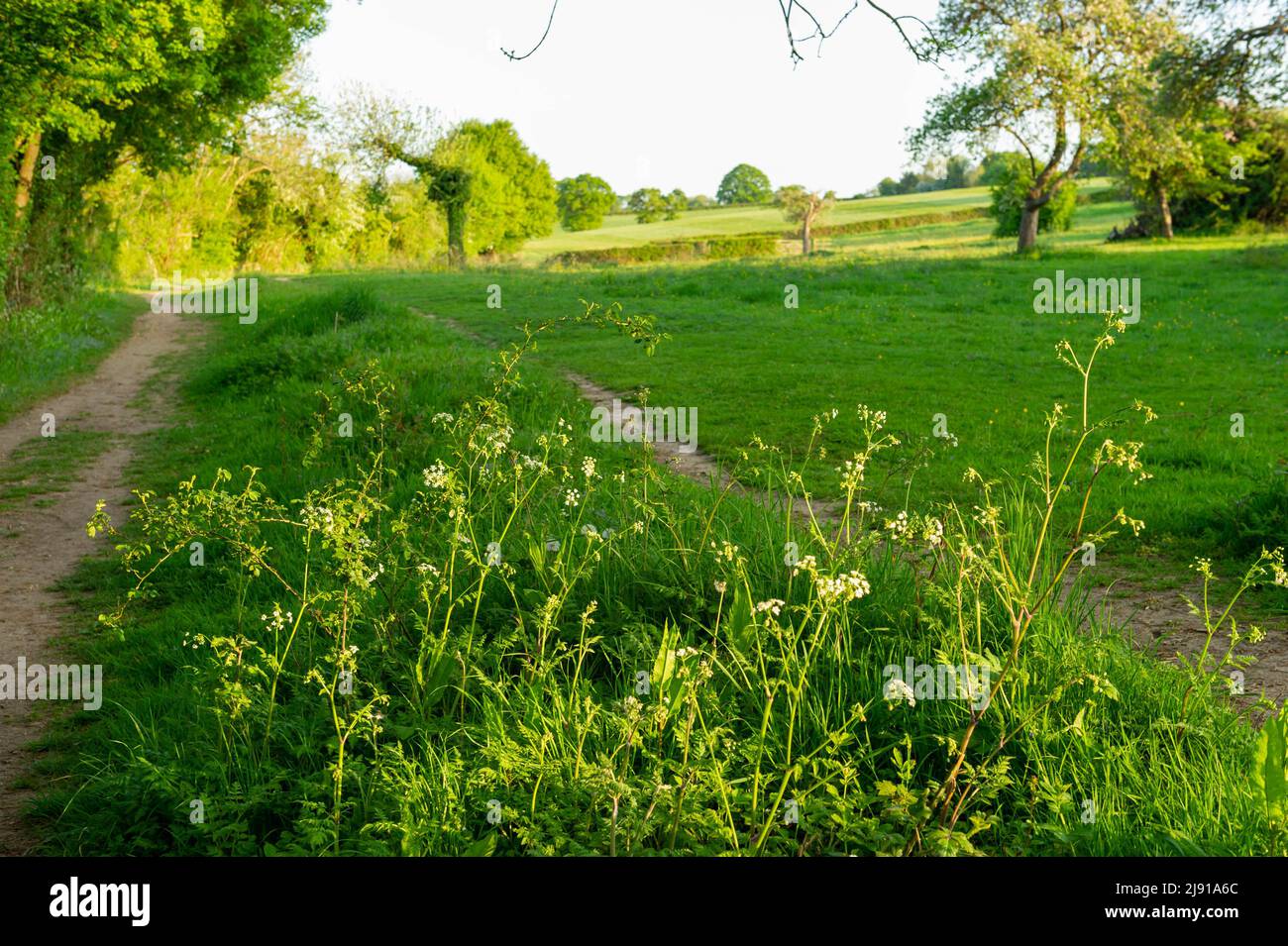 Spring sunset uk hi-res stock photography and images - Alamy