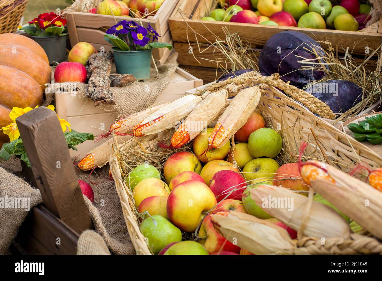 fair a festival of harvest of vegetables and fruits grown on farmlands ...