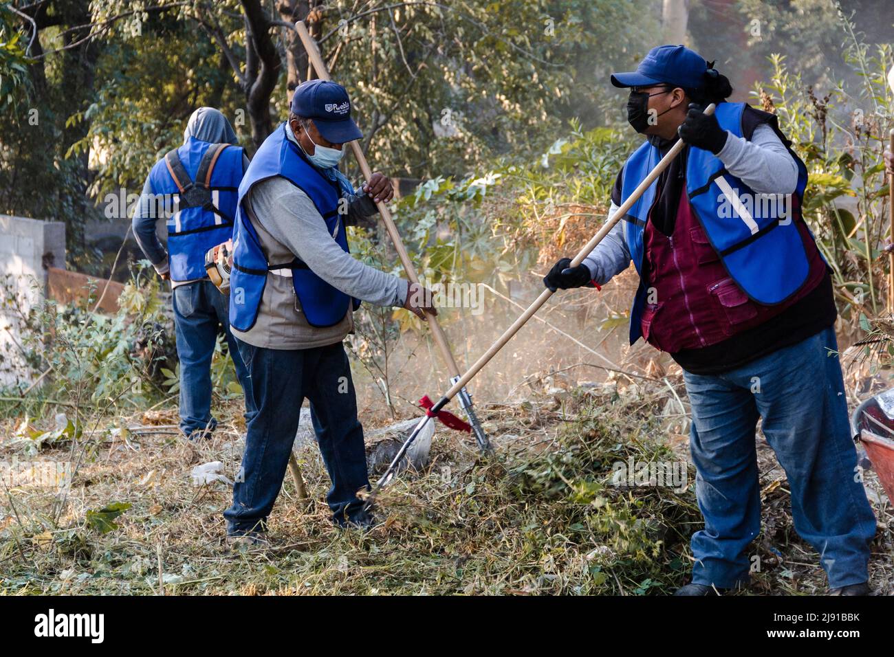 Community clean up kids hi-res stock photography and images - Alamy