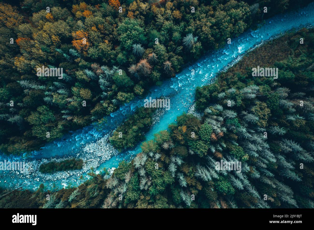 Forest river aerial view hi-res stock photography and images - Alamy