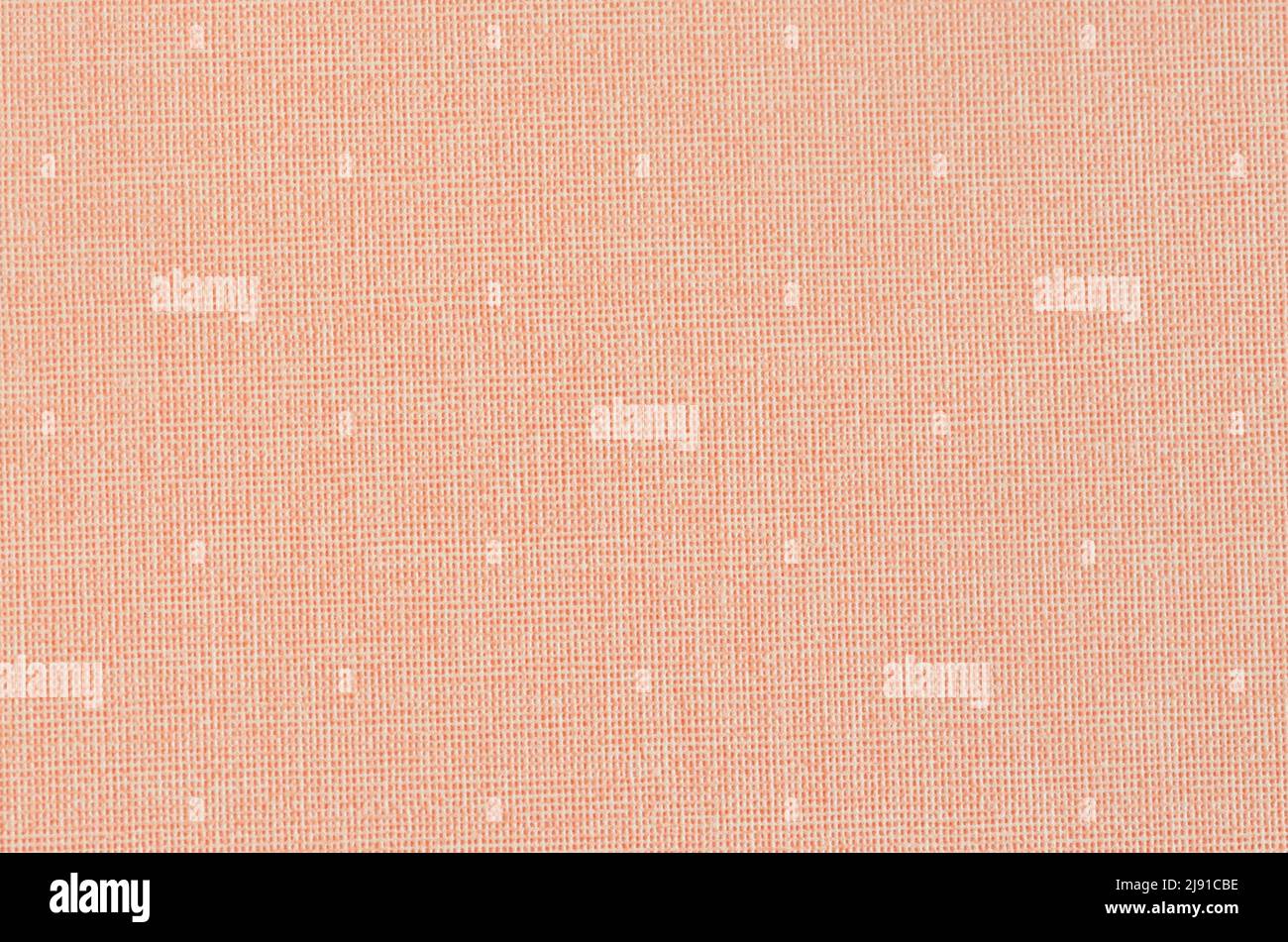 Pink paper texture. Macro background of book cover. Pink pattern Stock ...