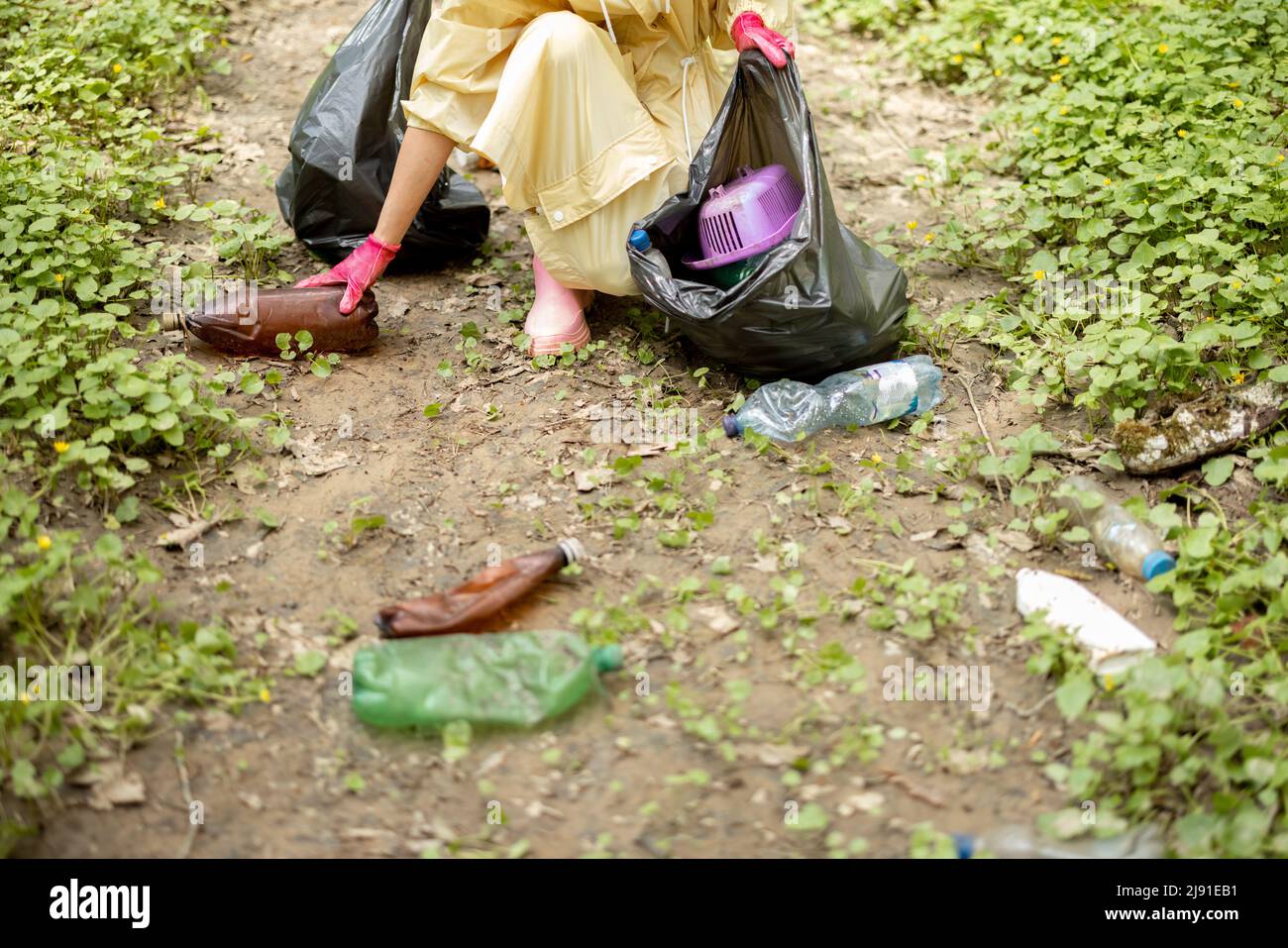 Woman collecting scattered plastic garbage in the woods Stock Photo - Alamy