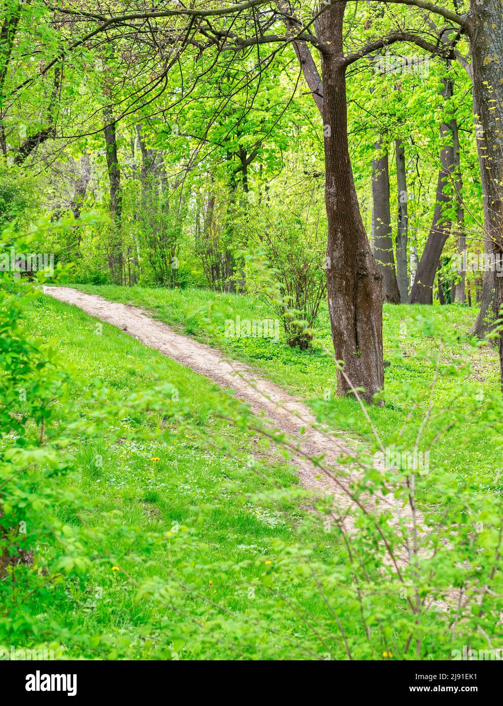 Spring landscape in King Mihai I park, Bucharest Romania. Footpath or ...