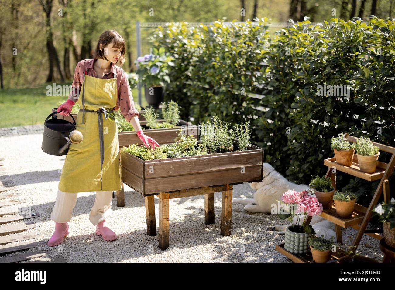 Garden in the backyard hi-res stock photography and images - Alamy