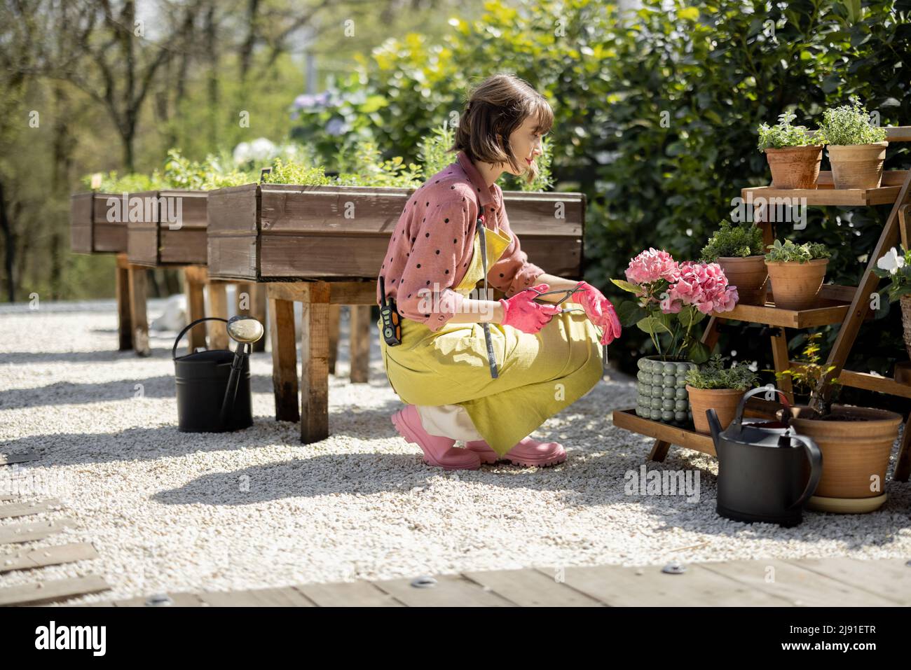 Garden in the backyard hi-res stock photography and images - Alamy