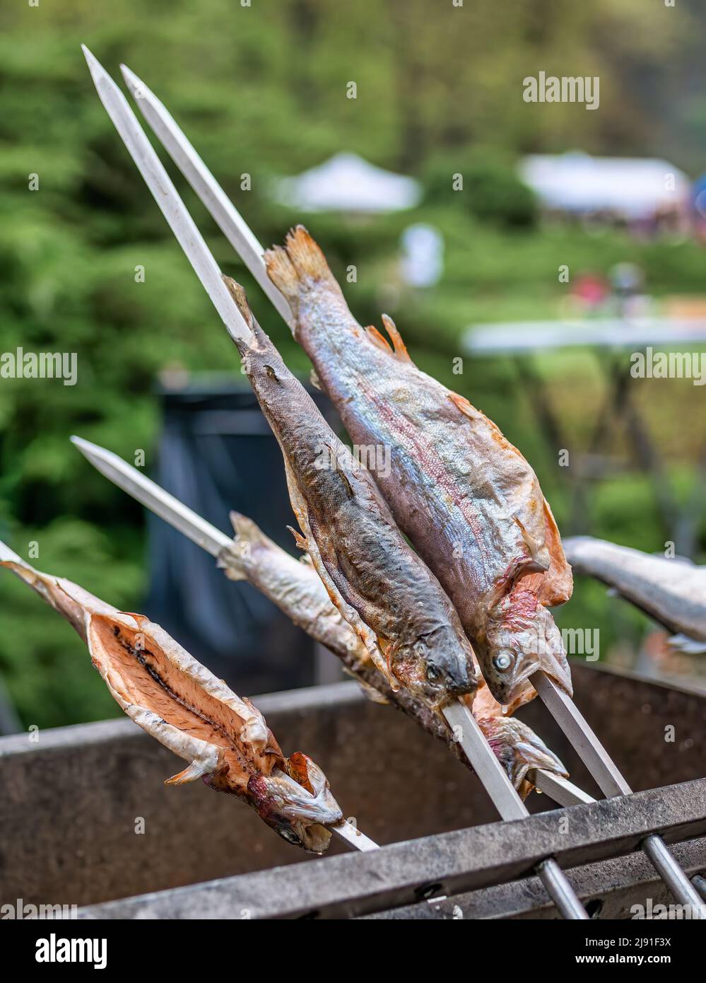 European sea bass on the grill. Outdoor fish barbecue Stock Photo - Alamy